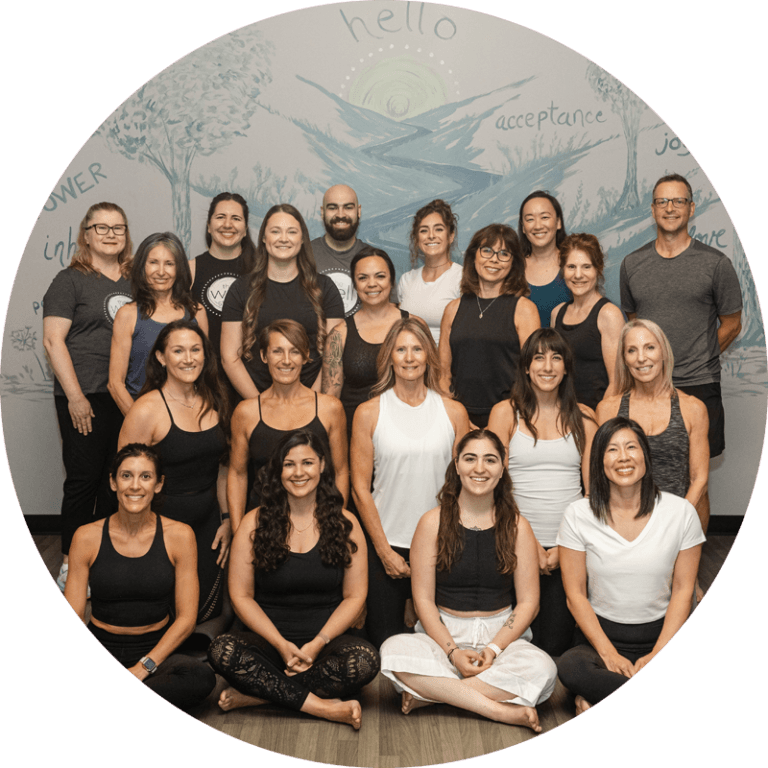 Fully certified team of instructors and trainers at Well Studio Dublin